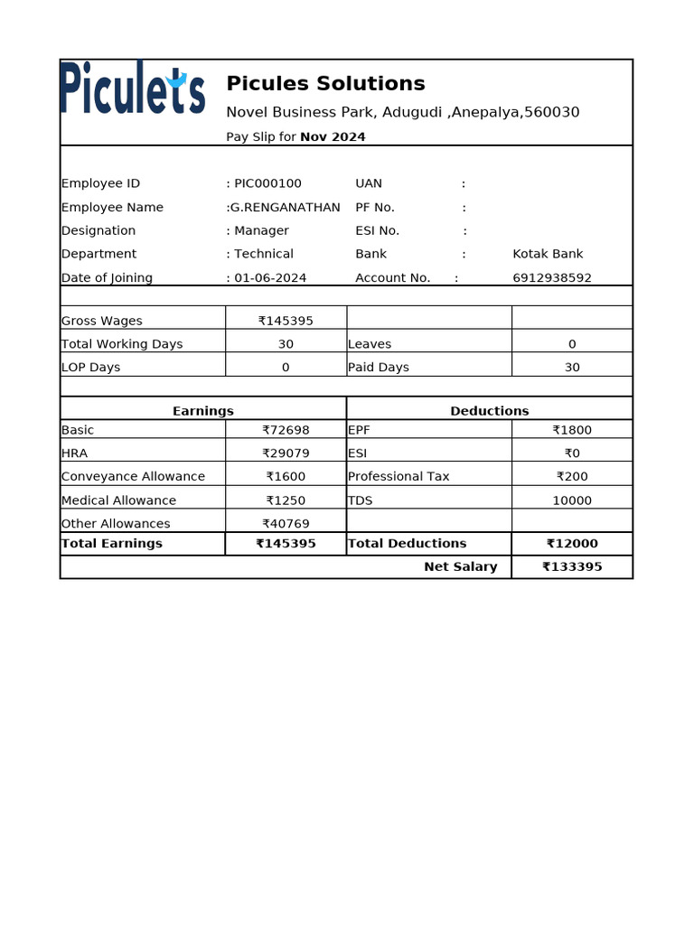 Nov 2024 Pay Slip: Manager at Picules | PDF