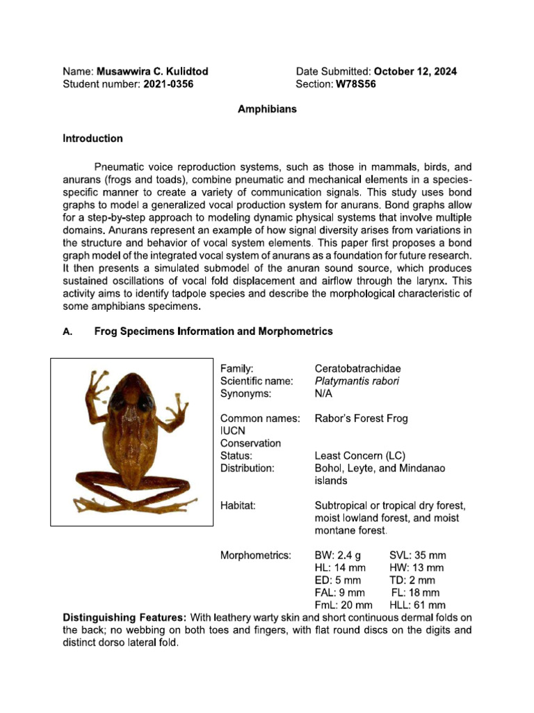 BDV113 Amphibians | PDF