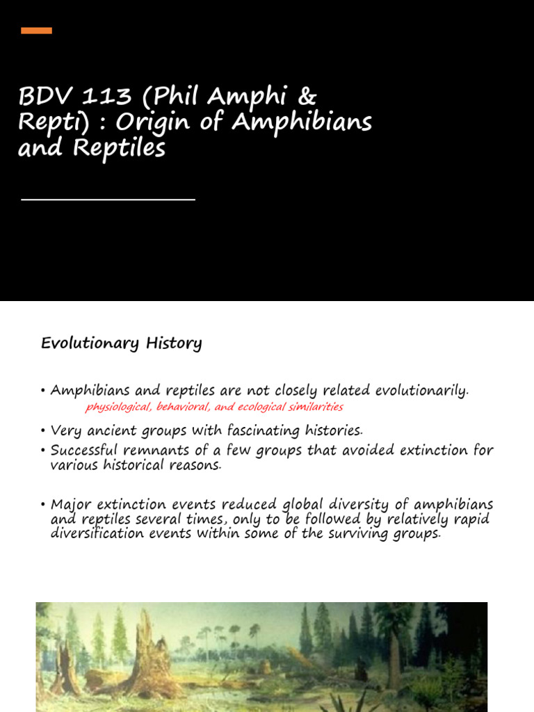 BDV 113 Origin of Amphibians and Reptiles | PDF | Amphibian | Reptile