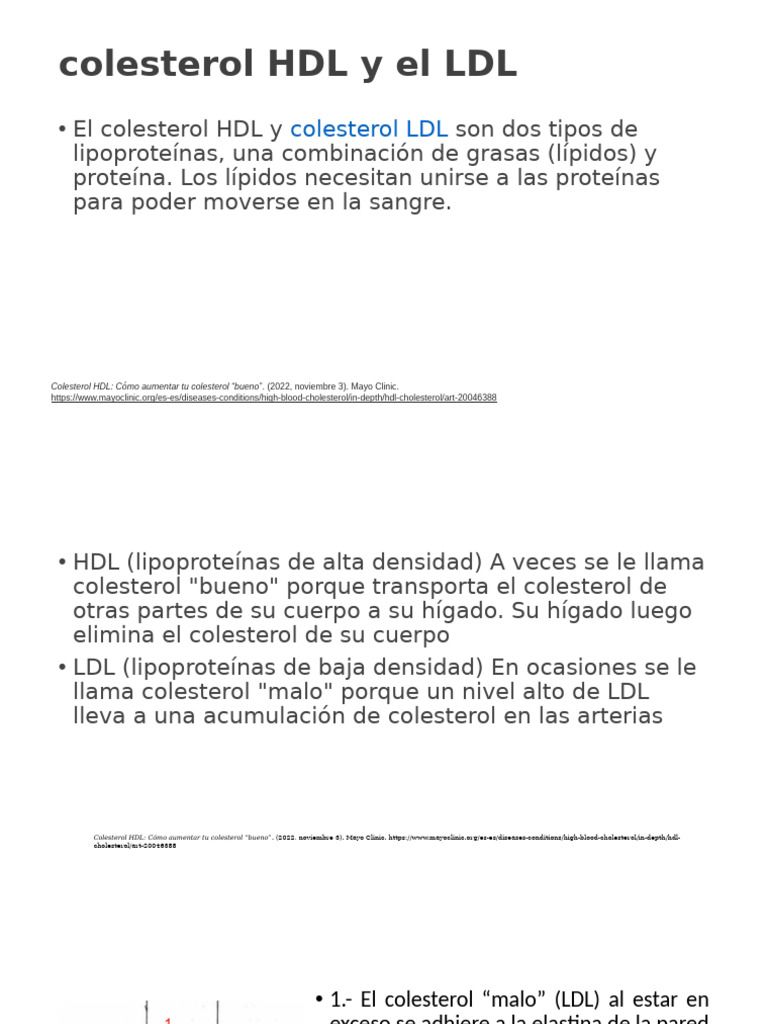 Colesterol HDL | PDF | Lipoproteína de alta densidad | Lipoproteínas de baja densidad