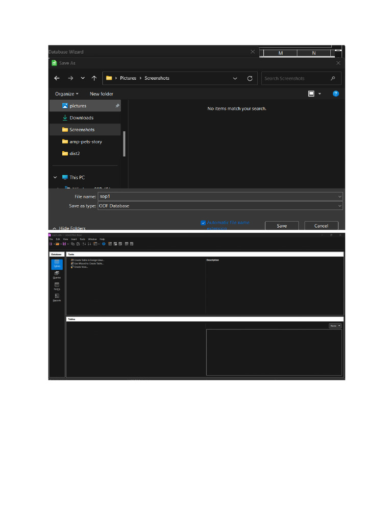 sop1 and sop 2 | PDF