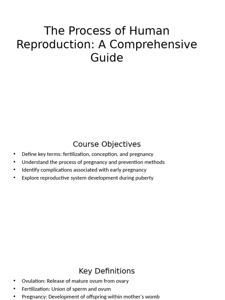 The Process of Human Reproduction A Comprehensive Guide | PDF | Human ...