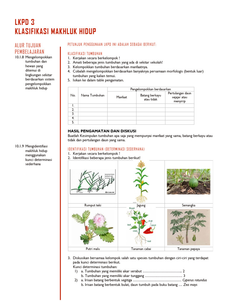 LKPD 3 Klasifikasi Makhluk Hidup-1 | PDF