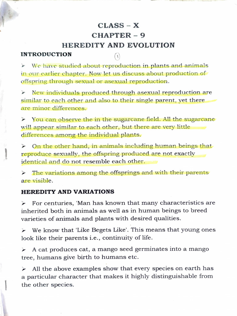 Heridity Key Points | PDF | Dominance (Genetics) | Sex