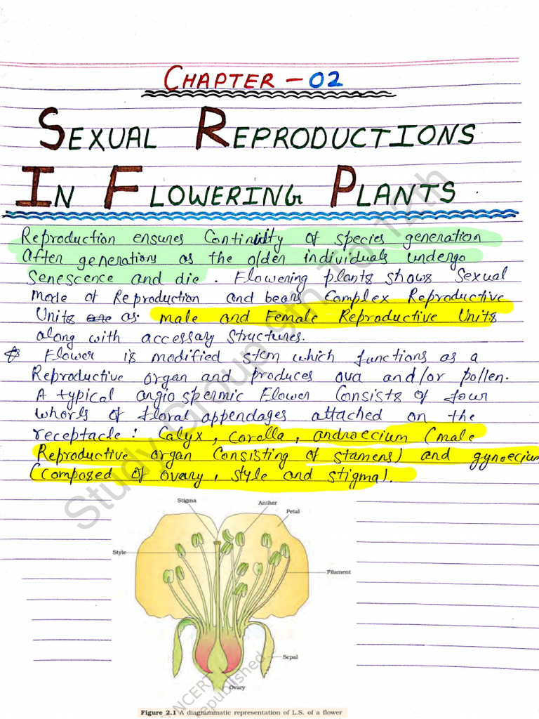 Chapter 2 SEXUAL REPRODUCTION FlowERING PLANTS Biology Class 12 ...