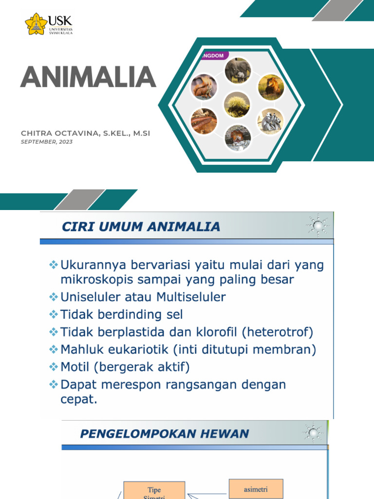 PPT Animalia | PDF