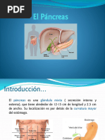 Detección de Coliformes Totales en Alimentos | PDF | Alimentos | Biología