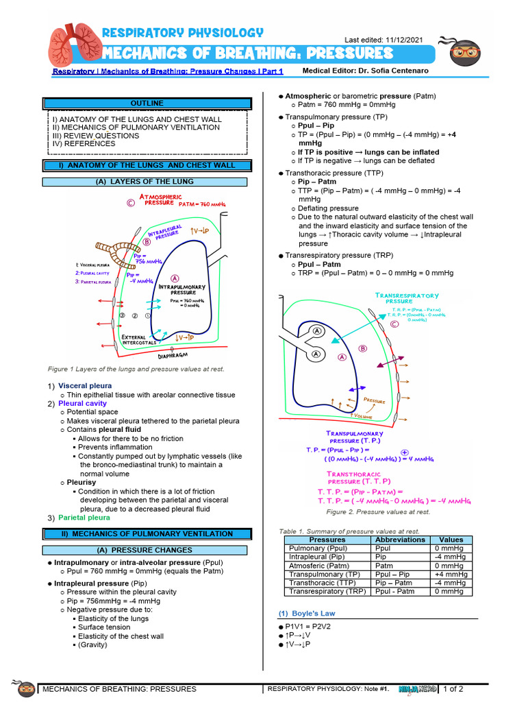 1 Mechanics of Breathing - Pressure Changes Part 1 (2) Atf | PDF | Lung ...