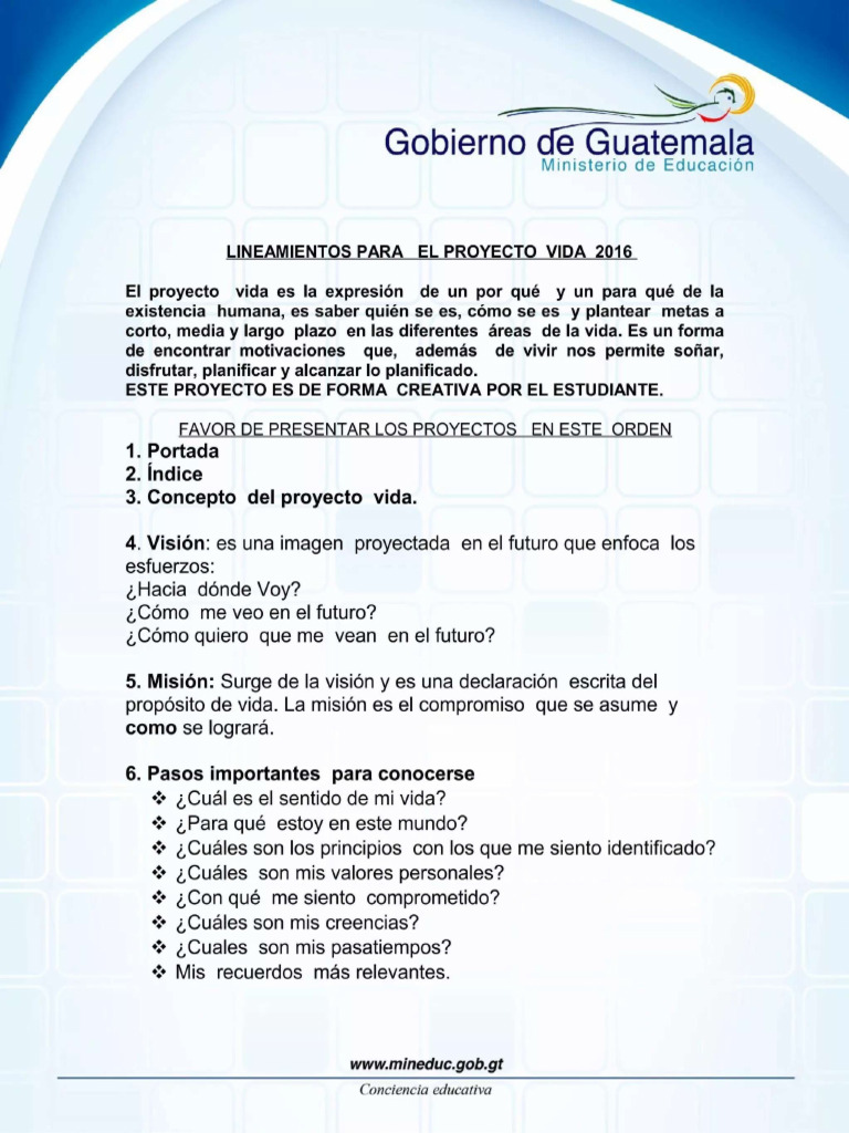 Proyecto De Vida Esquema Pdf