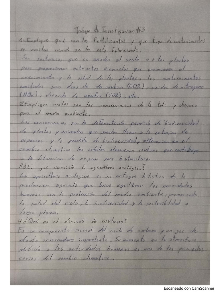 Trabajo Practico 3 MAT | PDF