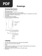 Caie Igcse Biology 0610 Alternative To Practical | PDF | Science ...