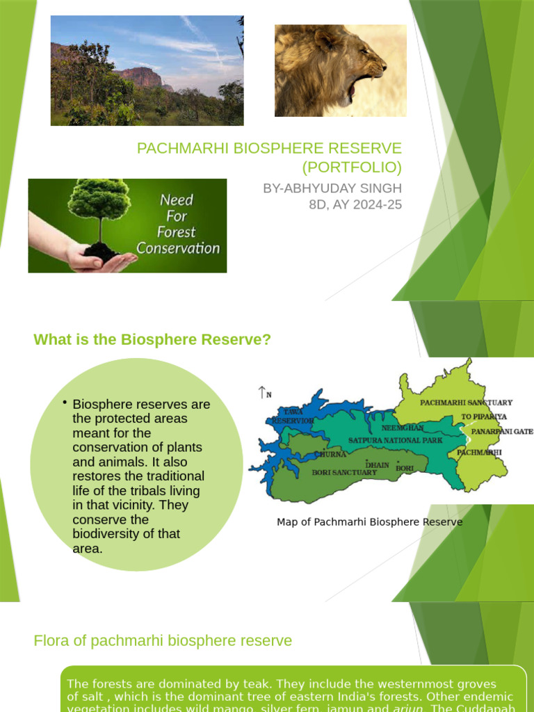 Pachmarhi Biosphere Reserve Overview | PDF | Organisms | Natural Environment