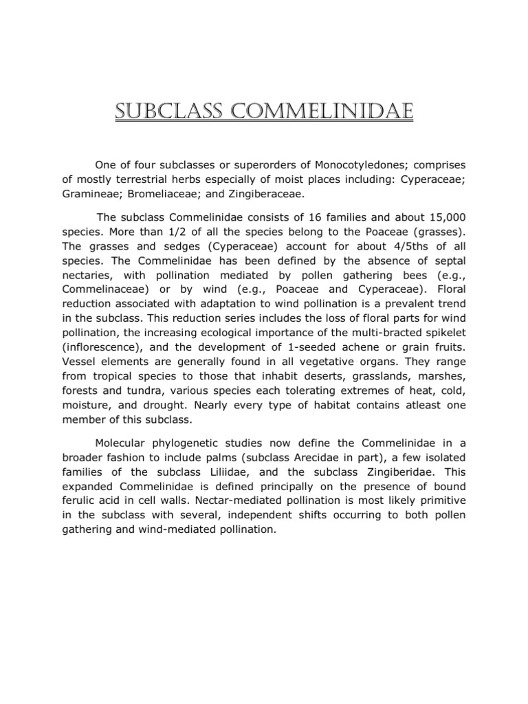 Subclass Commelinidae | PDF | Science & Mathematics