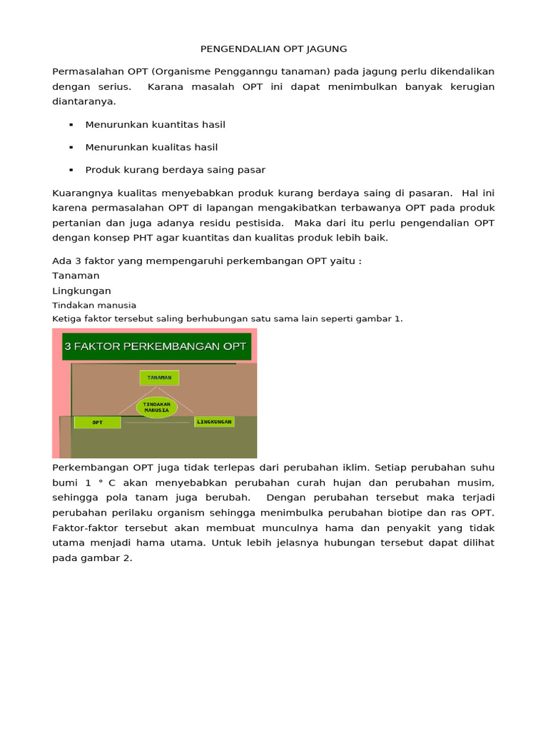 Bahan SL Jagung Hama | PDF