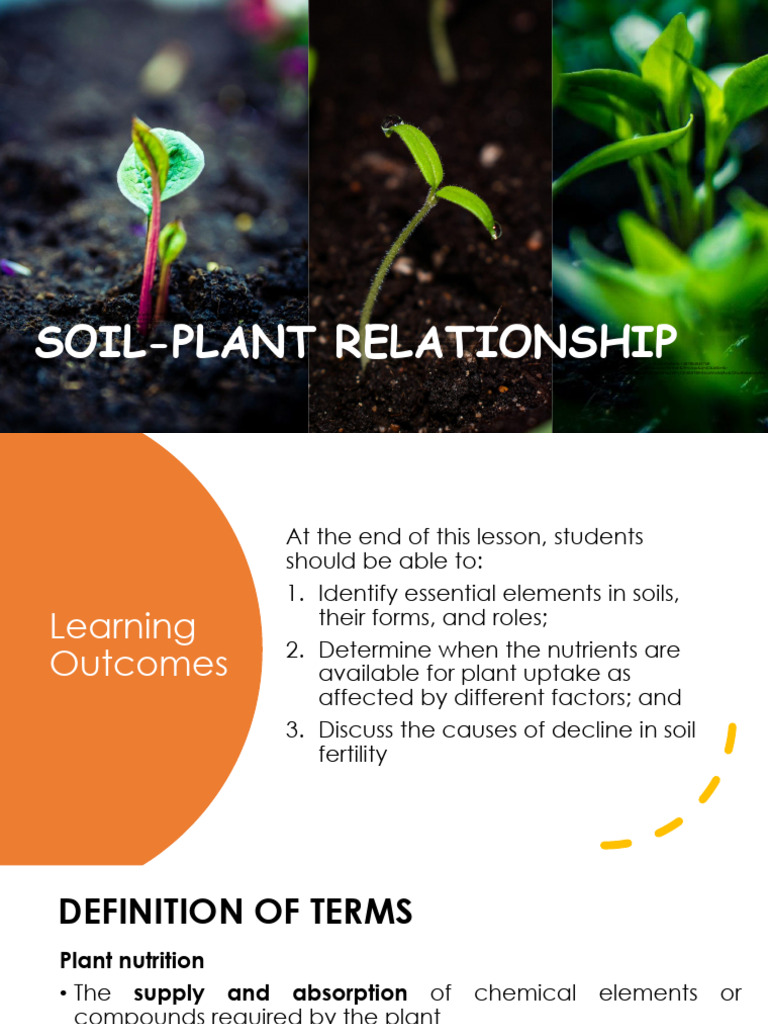 Soil Nutrients and Plant Growth Essentials | PDF | Soil | Plant Nutrition