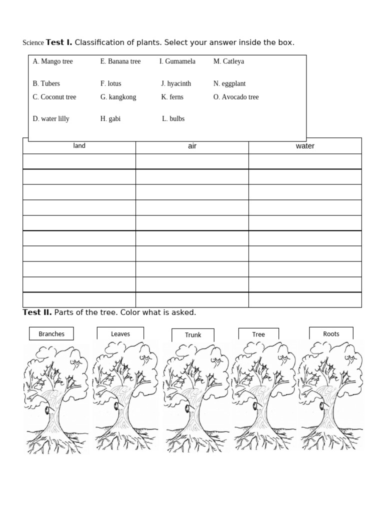 K-MATH REV | PDF | Leaf | Trees