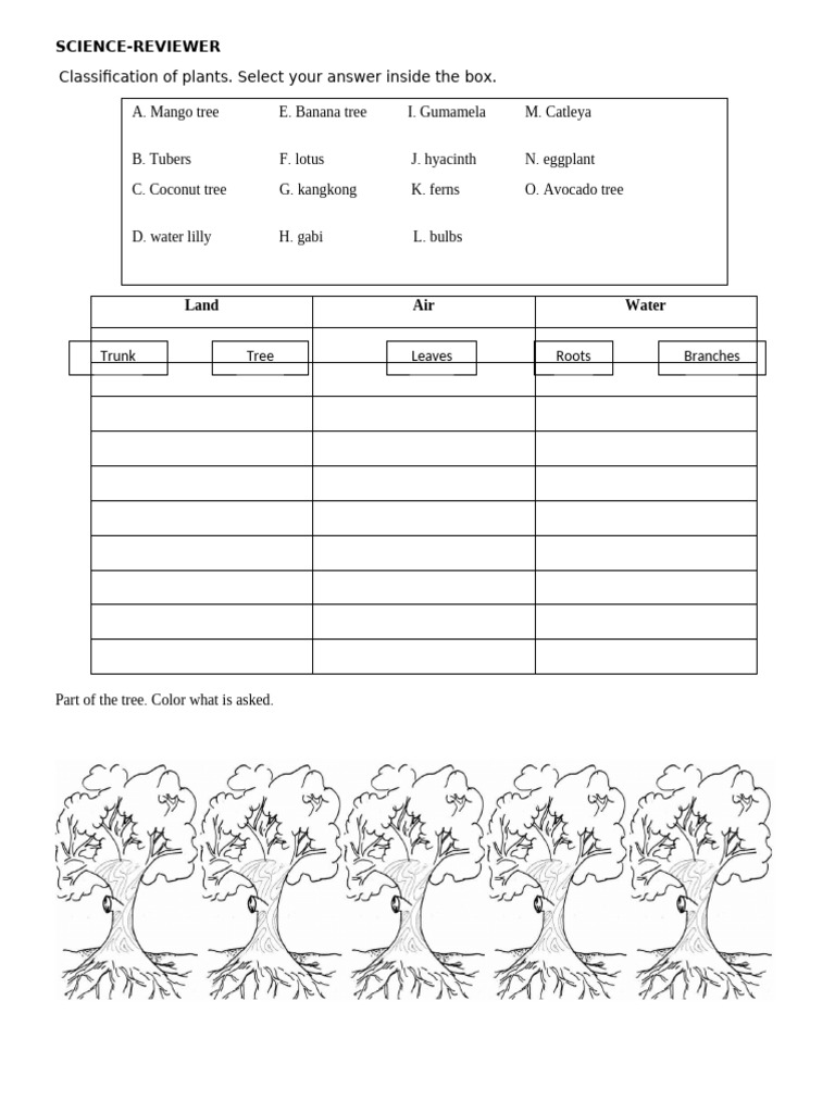 Plant Classification and Anatomy Guide | PDF