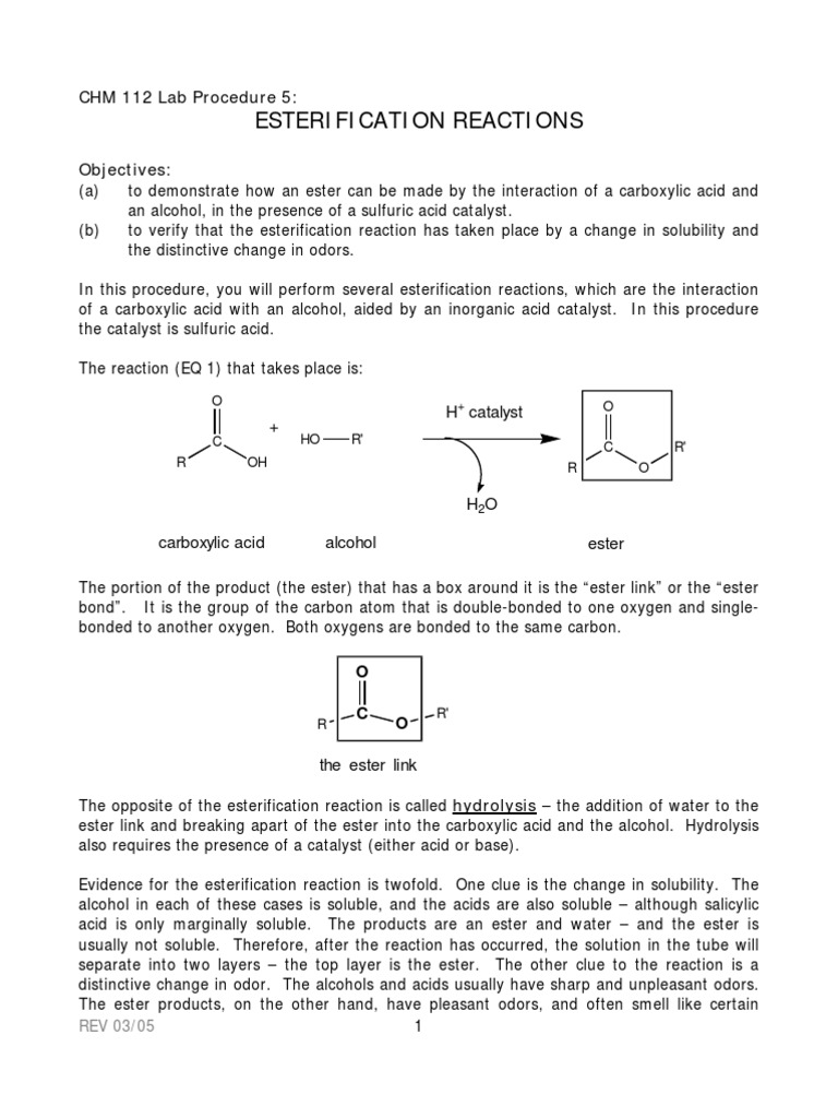 5 Synthesis Of Esters Pdf Ester Carboxylic Acid