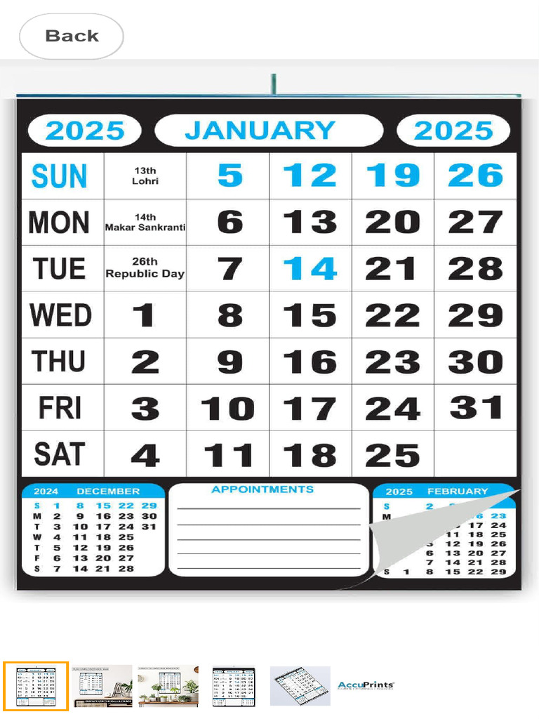AccuPrints 12 Pages 2025, 14 by 20 Inch Offices Wall Calendar Large ...