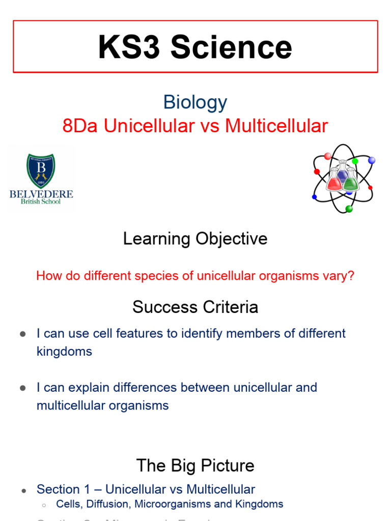 Unicellular vs Multicellular Organisms | PDF | Cell (Biology ...
