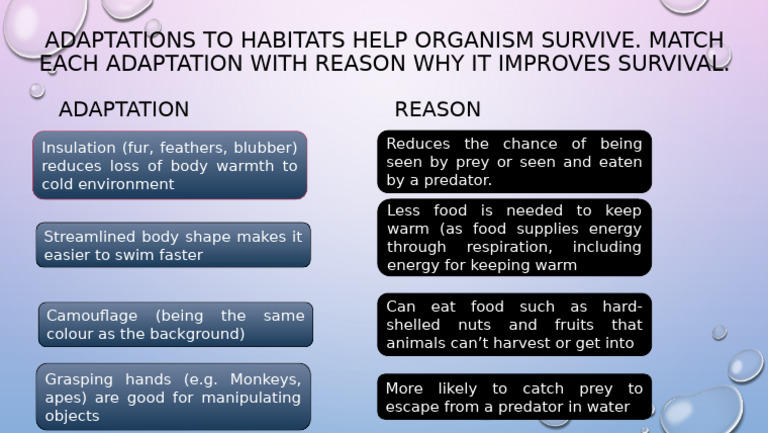 Exercise 4 (1) | PDF