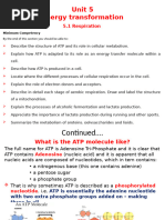 Unit Five Last One Grade 11 Biology Energy Transformation | PDF ...
