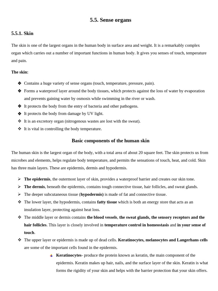 Bio. GR 12 Unit 5 Part II | PDF | Skin | Ear