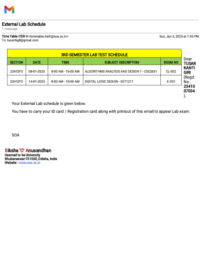 Gmail - External Lab Schedule | PDF