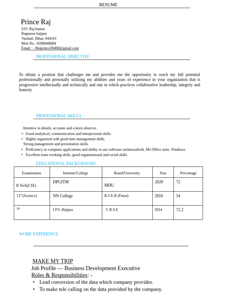 Prince raj resume updated | PDF | Software | Computing