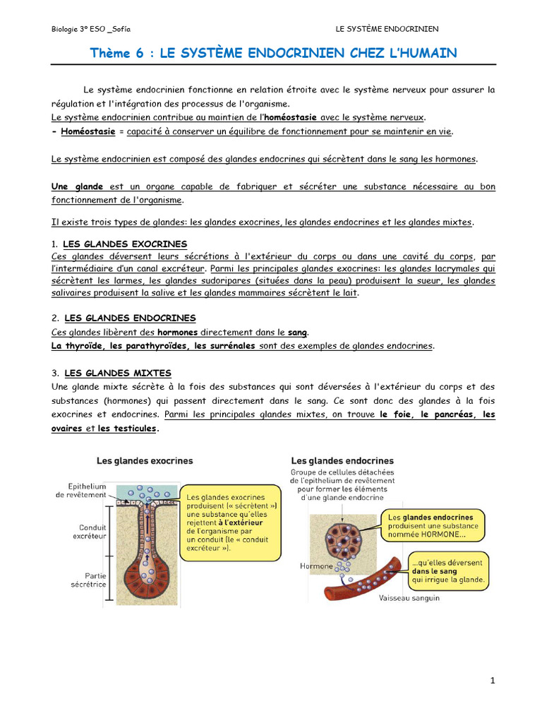 LE SYSTÈME ENDOCRINIEN | PDF | Hormone | Hypothalamus