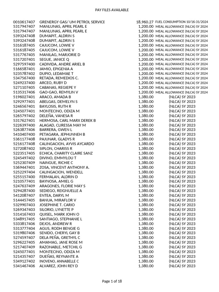 Employee Allowance Records | PDF