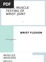 Forearm Supination Rom MMT | PDF