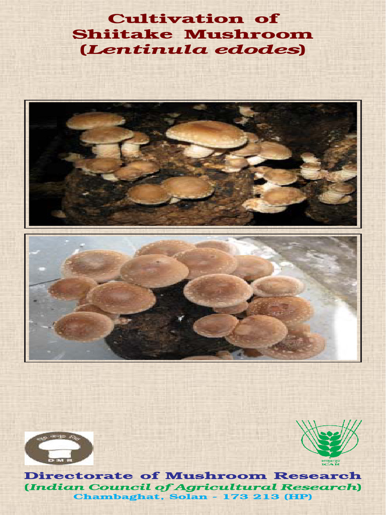 Shiitake Mushroom Cultivation Guide | PDF