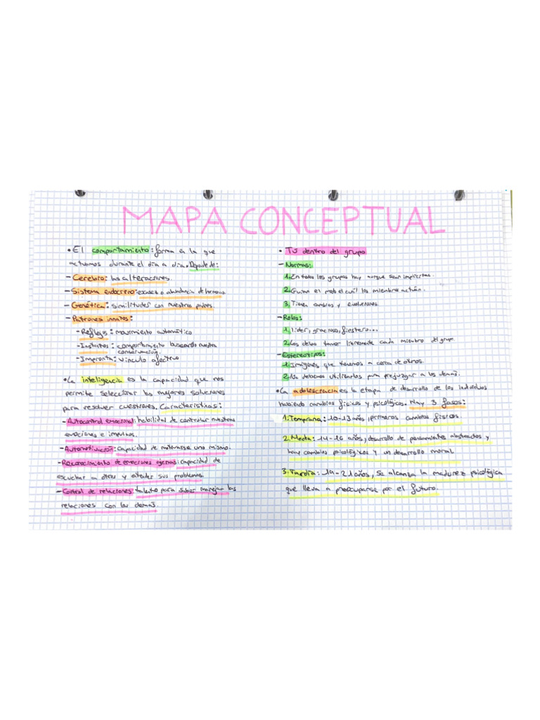 Mapa Conceptual | PDF