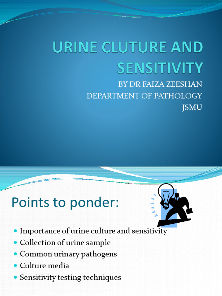 Urine Cluture and Sensitivity | PDF | Microbiology
