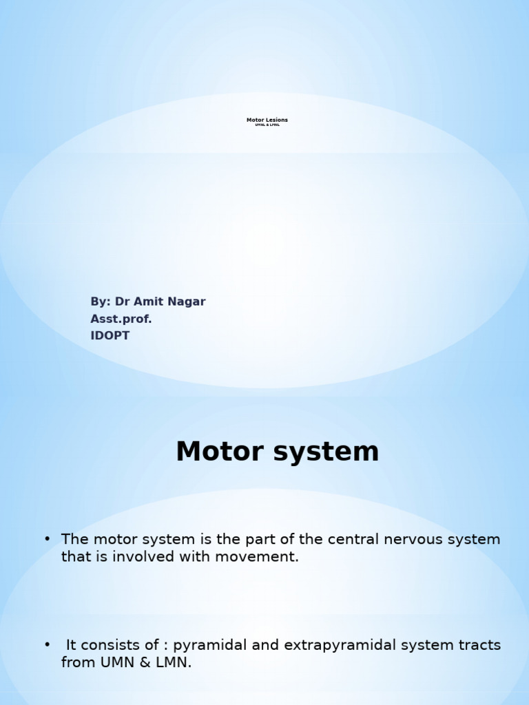 Umn& lmn-1 | PDF | Motor Neuron | Neuroanatomy