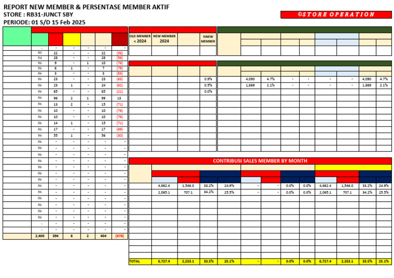 Rb31 Report Contribusi Member February-2025-2 | PDF