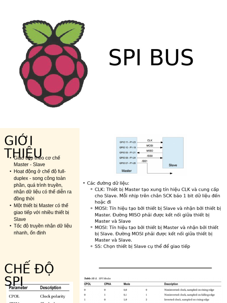 spi | PDF