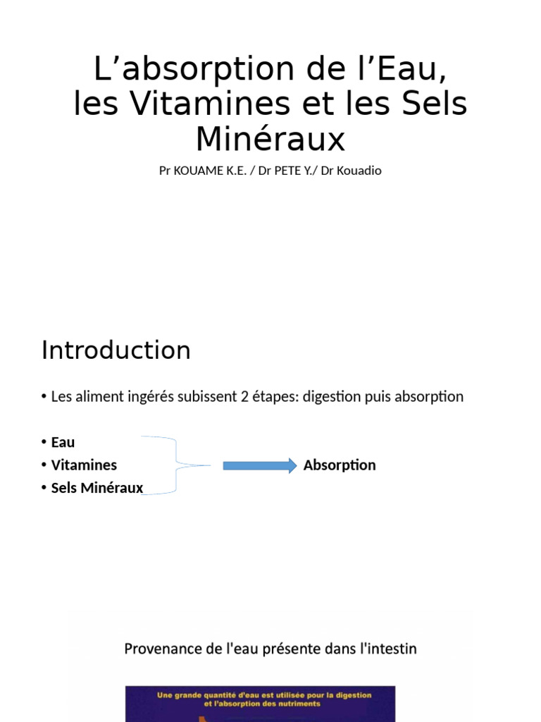Mécanismes d'absorption digestive | PDF | Tractus gastro-intestinal ...