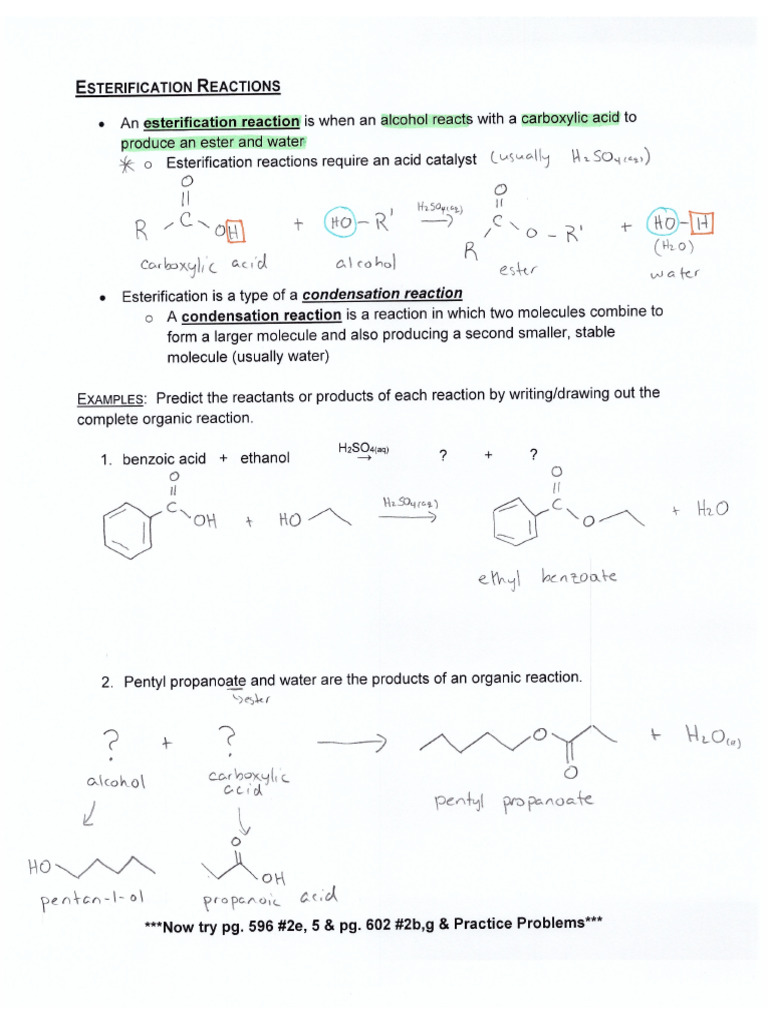 3.10-Esterification Reactions | PDF
