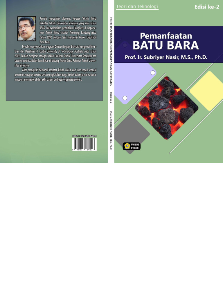 Buku Definisi Batu Bara | PDF