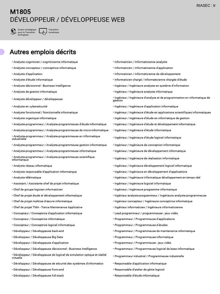 Fiche Métier M1805 | PDF | Développement de logiciel | Informatique