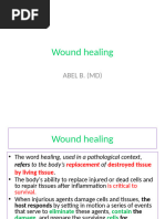 First vs. Second Intention Healing | PDF | Wound Healing | Scar