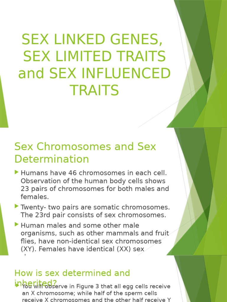 Understanding Sex-Linked Traits and Genes | PDF | Sex | Genotype