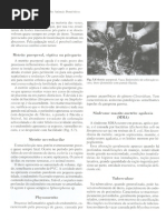 Metrite e Endometrite em Bovinos: Guia Completo | PDF | Bactérias ...