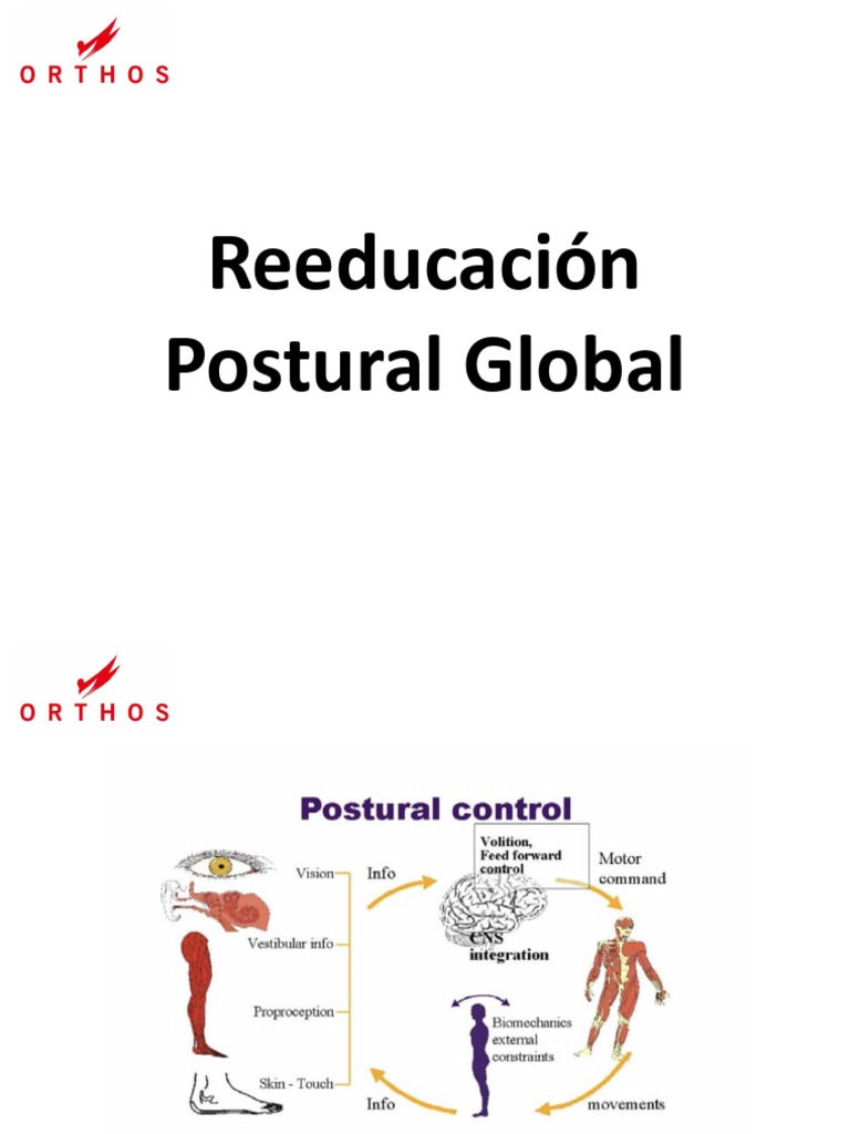 Reeducación Postural Global | PDF