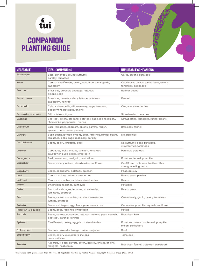 companion_planting_guide | PDF | Dill | Vegetables