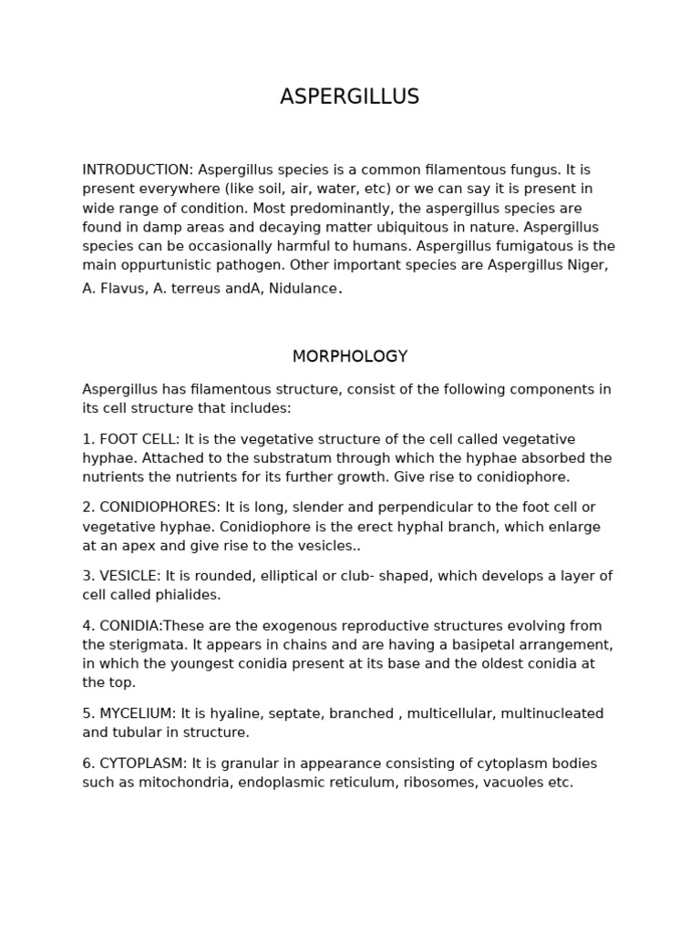 ASPERGILLUS SPECIES | PDF | Mycology | Fungus