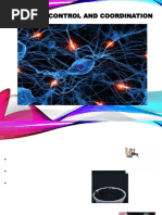 Controland Coordination Class 10 | PDF