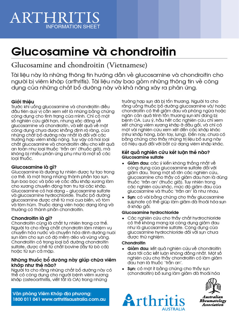 Vietnamese Glucosamine Chond | PDF
